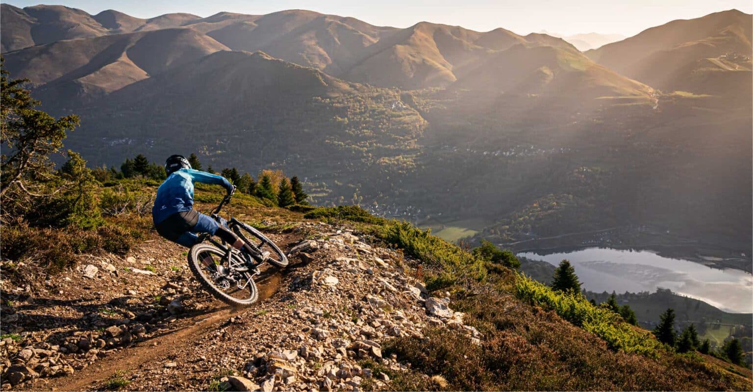 Giant Bicycles Review: Innovation, Scale, and Value from the World’s ...